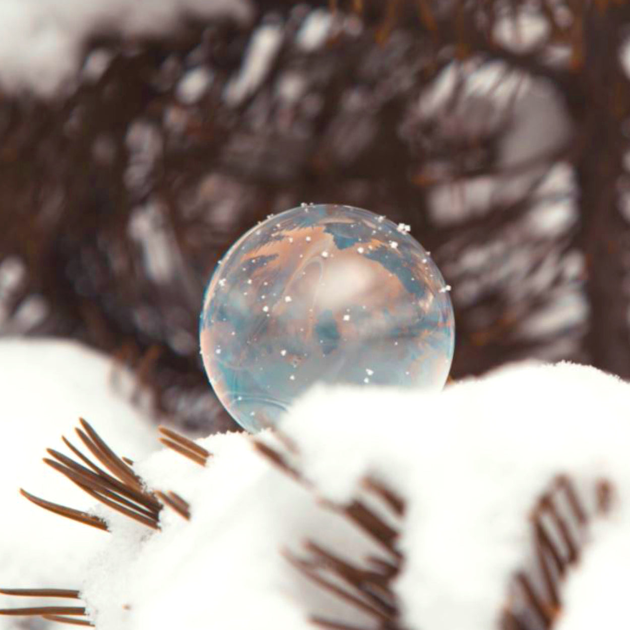 Meet Crazy Ice Bubbles – Wishbone Toys
